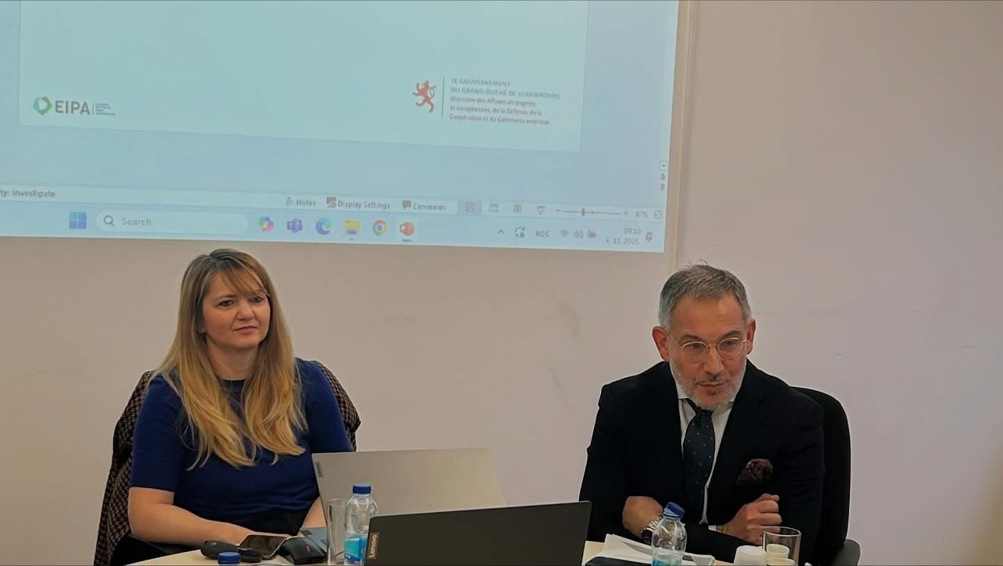 DEI | Completion of this year’s training cycle in partnership with EIPA ...